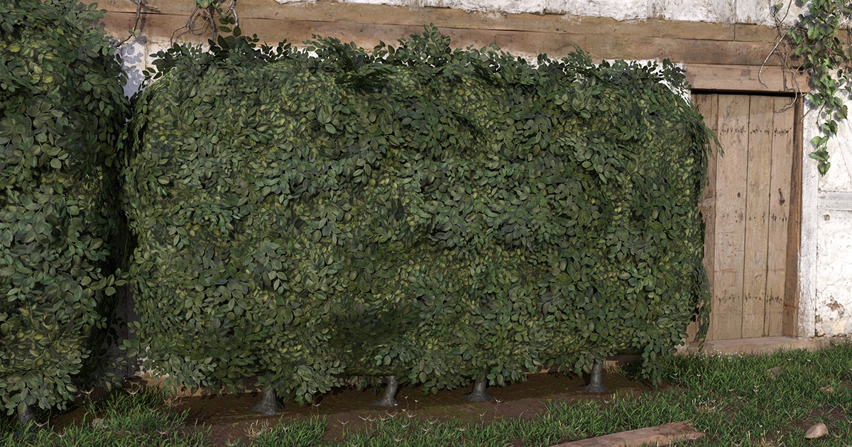 Nature Assets - Garden Hedge | 3D Plants | Unity Asset Store