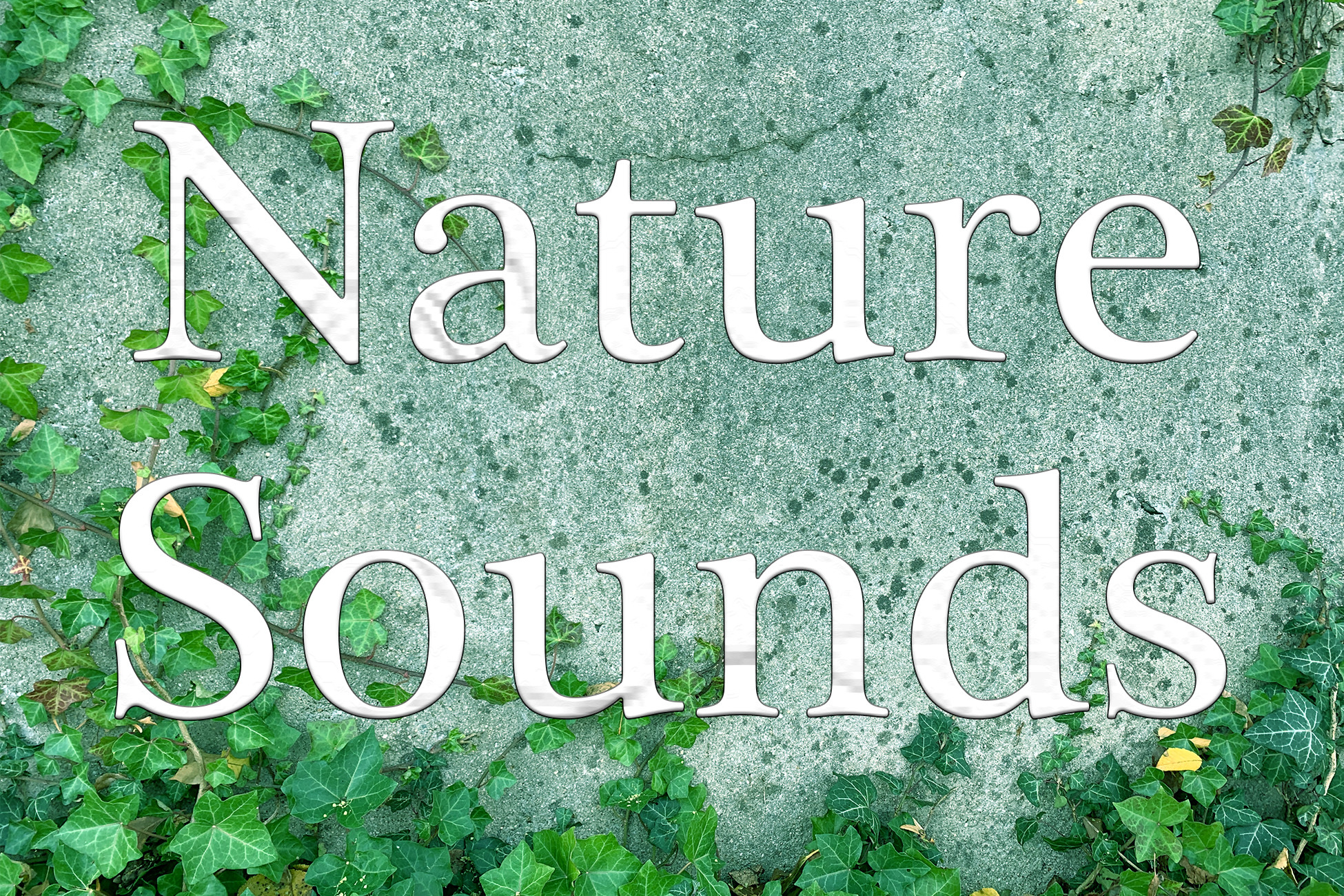 Nature Sounds(8tracks + 11SE) | Nature Ambient | Unity Asset Store