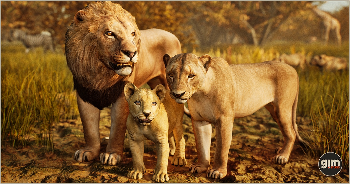 Animalia - Lion (pack) | 3D Animals | Unity Asset Store