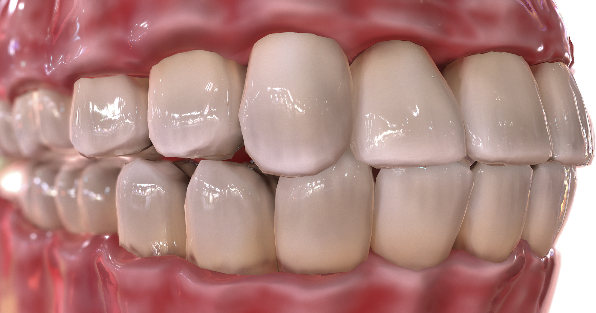 HQ Humans Teeth | 3D Props | Unity Asset Store