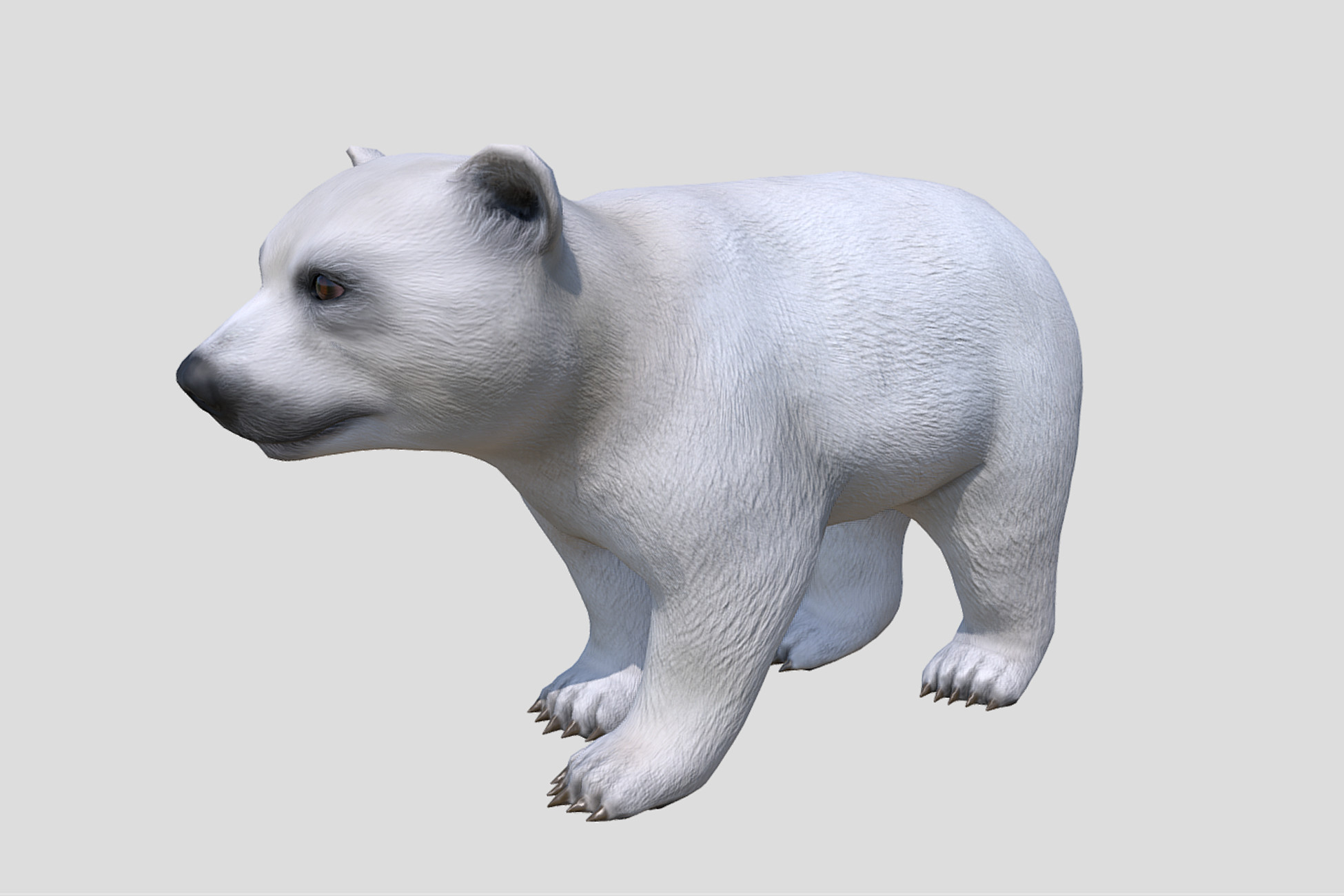 White Bear Cub | Characters | Unity Asset Store