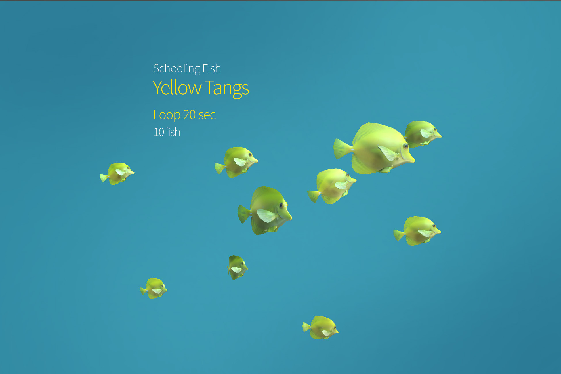 Yellow Tangs | Characters | Unity Asset Store