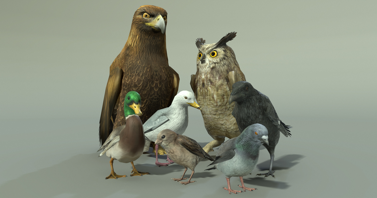 BIRDS PACK | Characters | Unity Asset Store