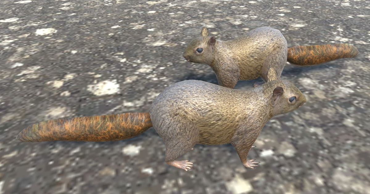 Red-tailed squirrel | Characters | Unity Asset Store