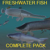 Freshwater fish complete pack