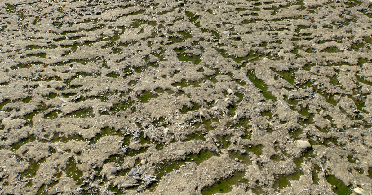 Arid and Wasteland PBR textures 1 | 2D Textures & Materials | Unity ...