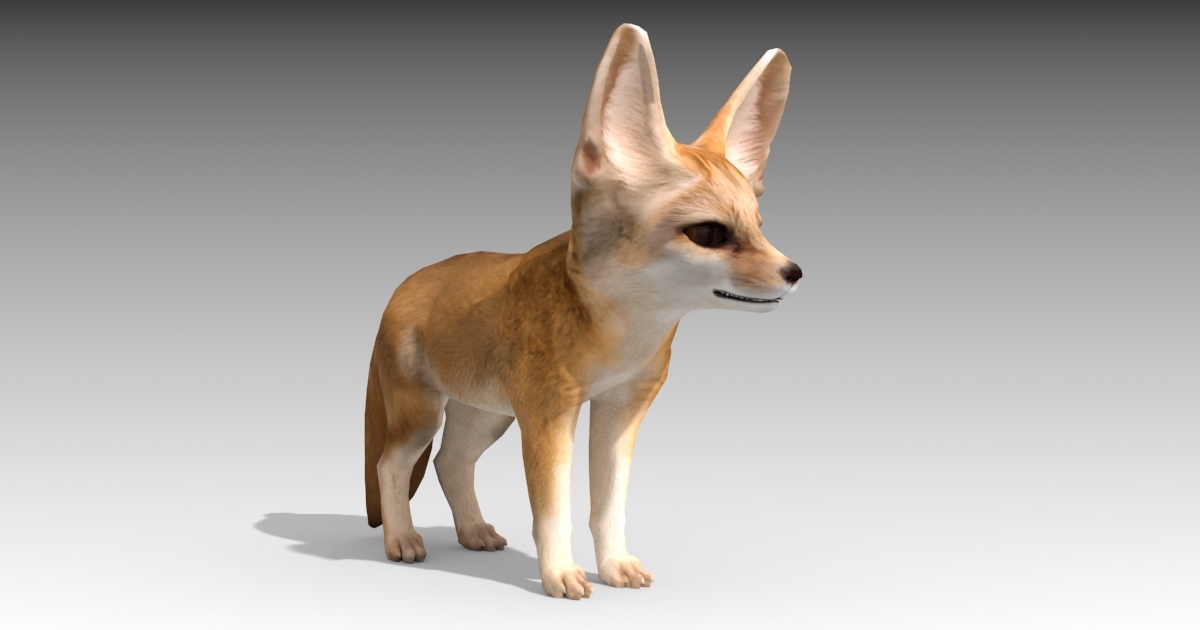 Fennec | キャラクター | Unity Asset Store