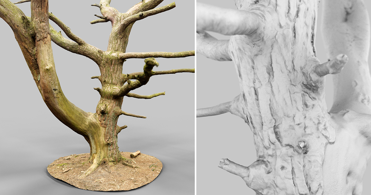 Dancing Tree Photorealistic Asset | 3D Trees | Unity Asset Store