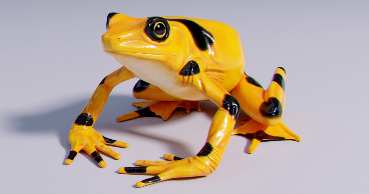 Panamanian Golden Frog | 3D Animals | Unity Asset Store