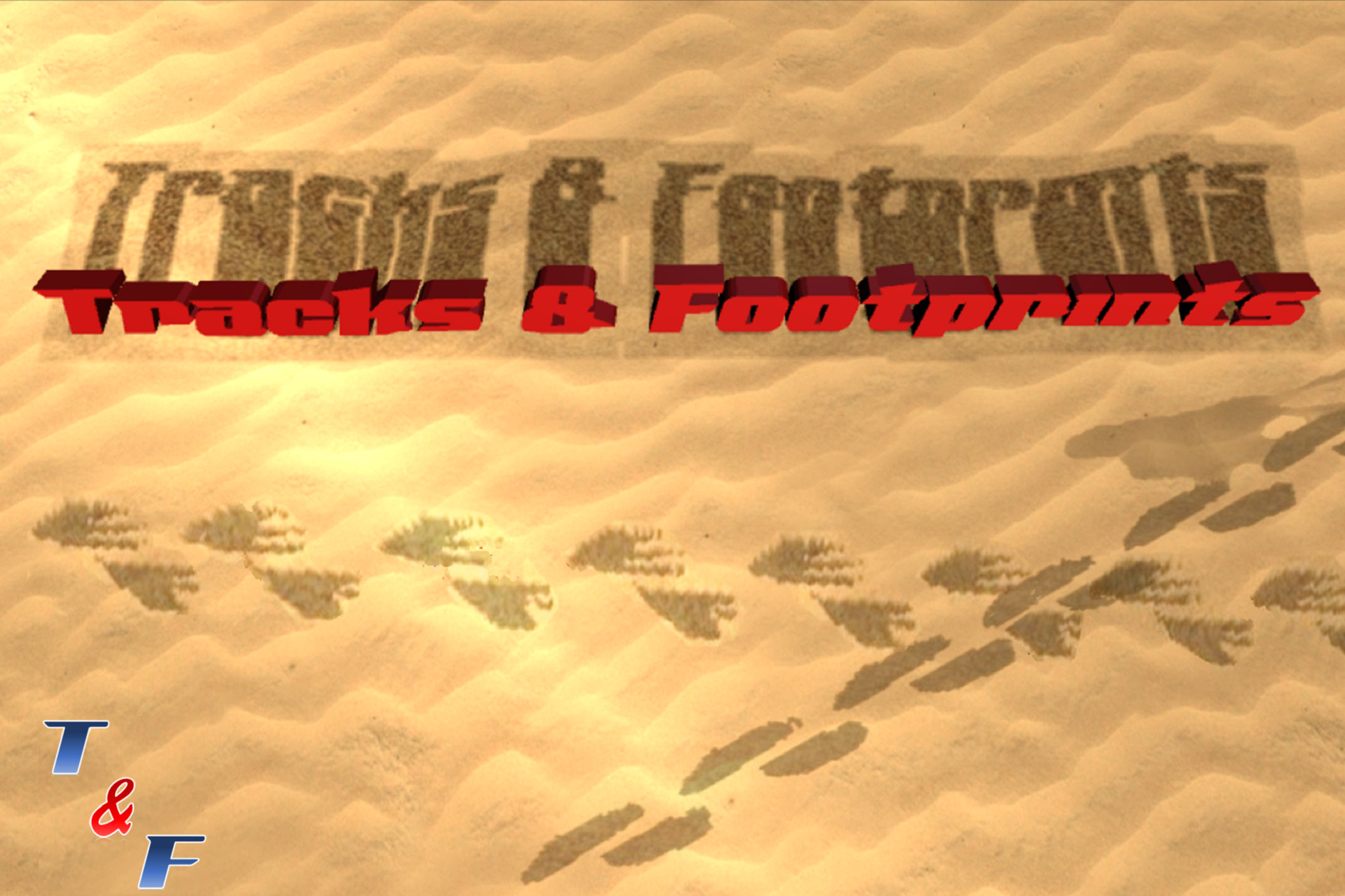 Tracks and Footprints | VFX Shaders | Unity Asset Store