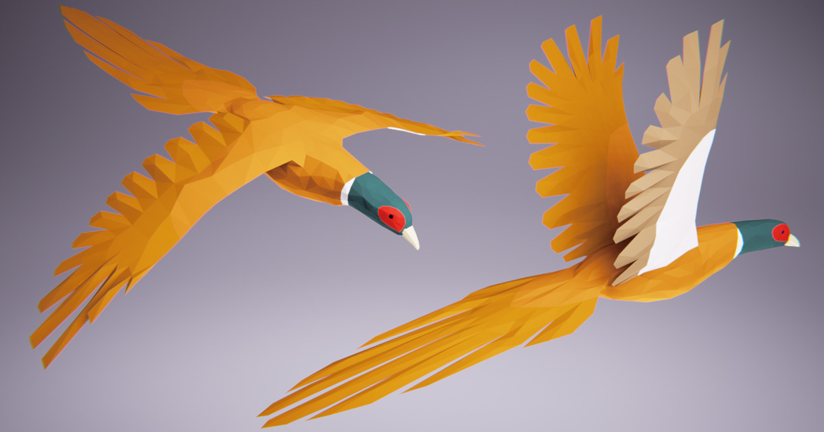 Low Poly Bird: Pheasant | Characters | Unity Asset Store