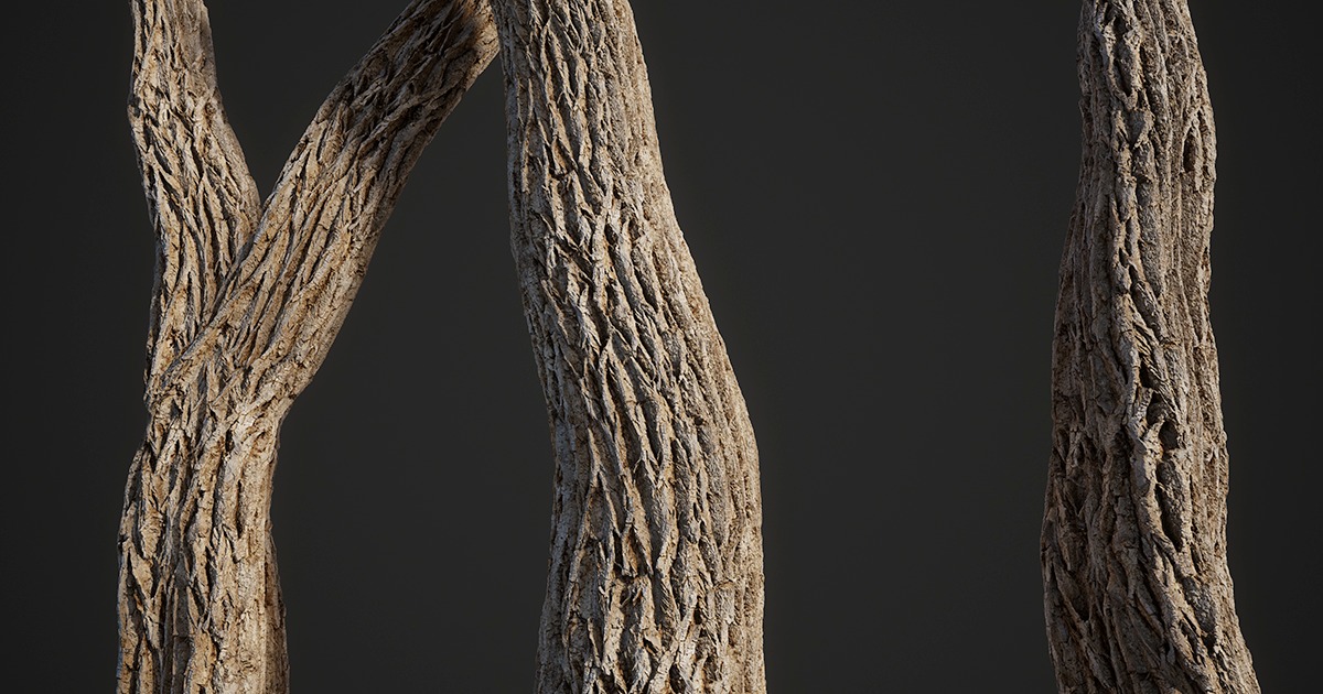 Bark Collection 01 | 2D Textures & Materials | Unity Asset Store