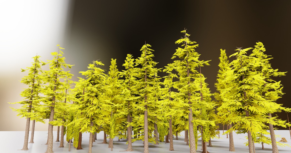 Stylized Pine Trees - Erbeilo3D | 3D Environments | Unity Asset Store
