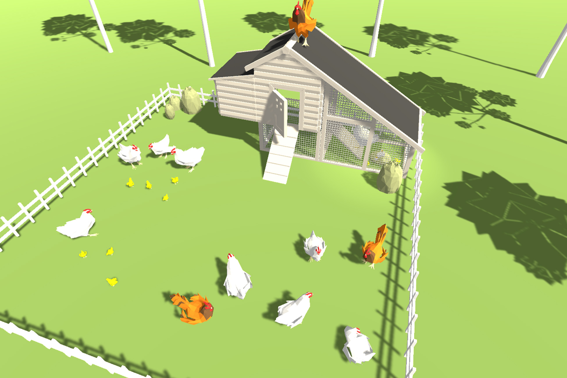 3D Lowpoly Chicken model animation | 3D Animals | Unity Asset Store