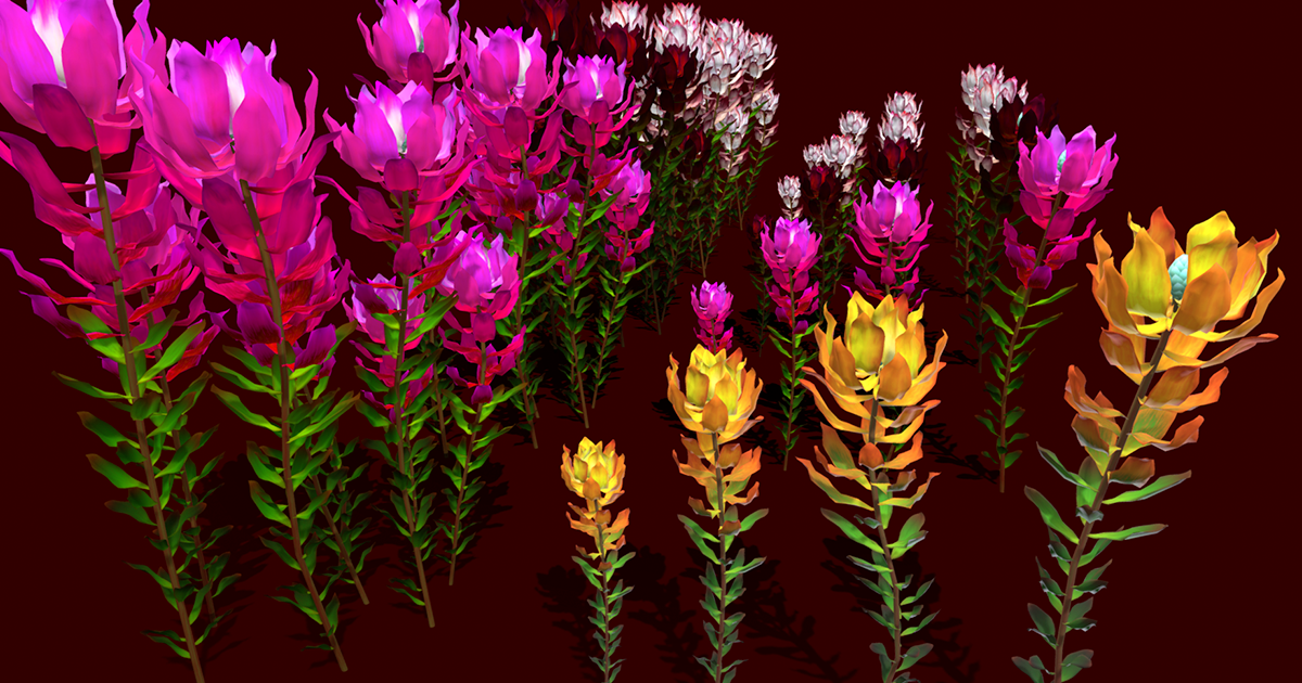 Flower Leucadendron | 3D Flowers | Unity Asset Store
