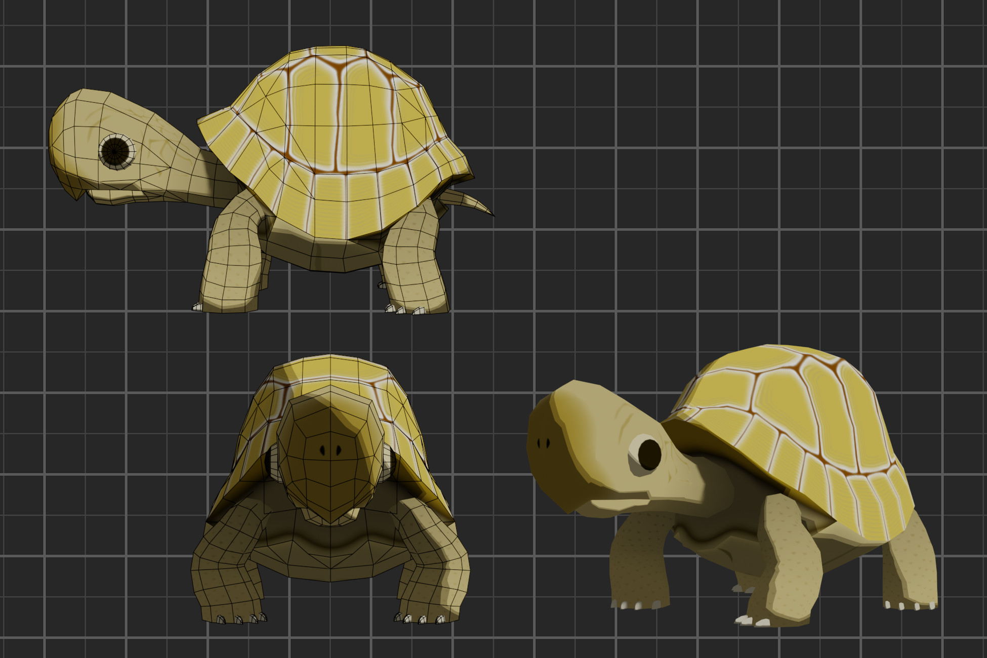 Animals 3D Turtle | Characters | Unity Asset Store