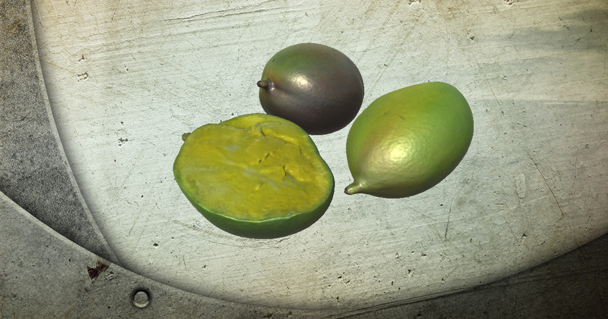 Scanned Mango | 3D Food | Unity Asset Store