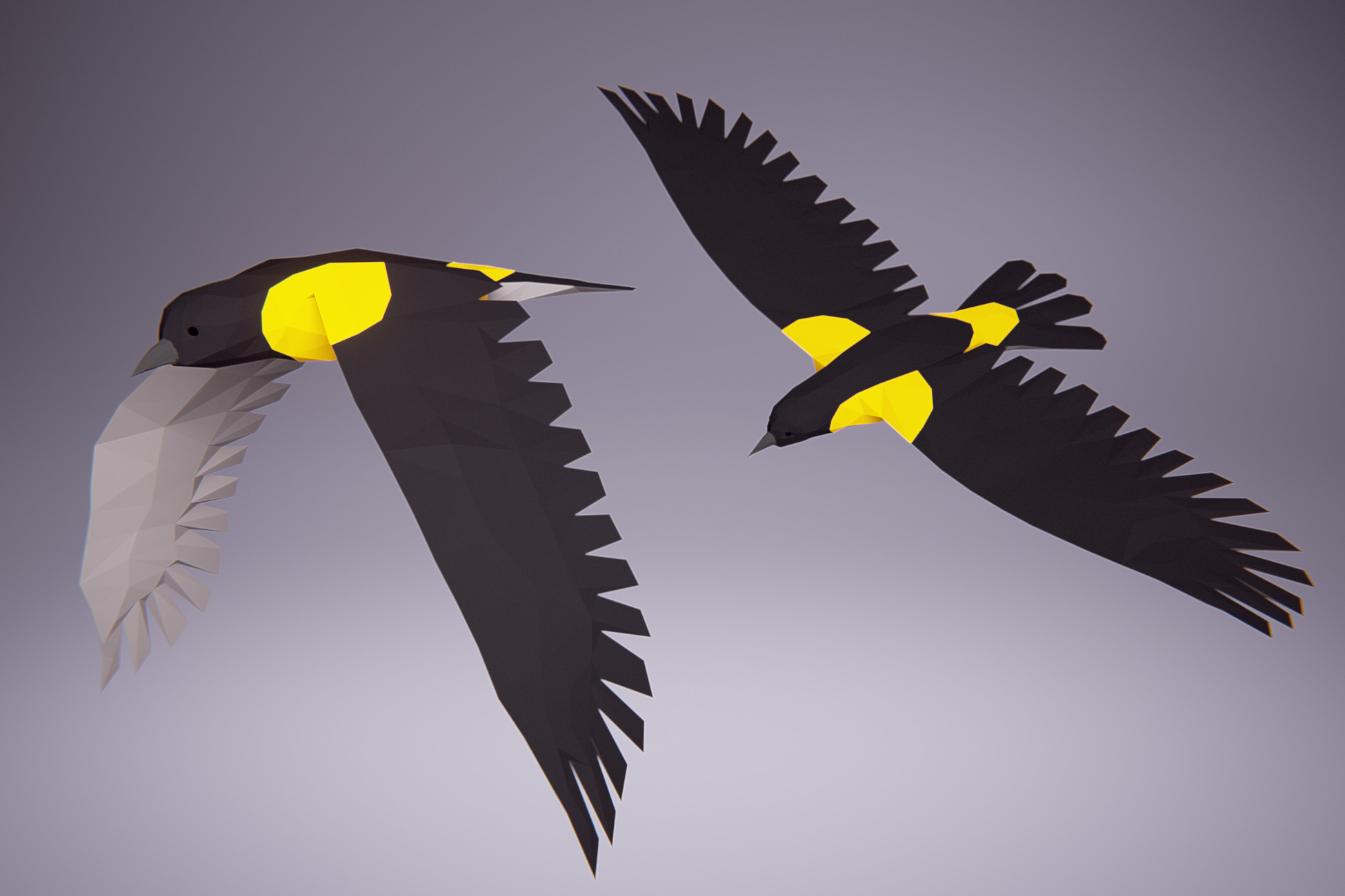 Low Poly Bird: Oriole | Characters | Unity Asset Store
