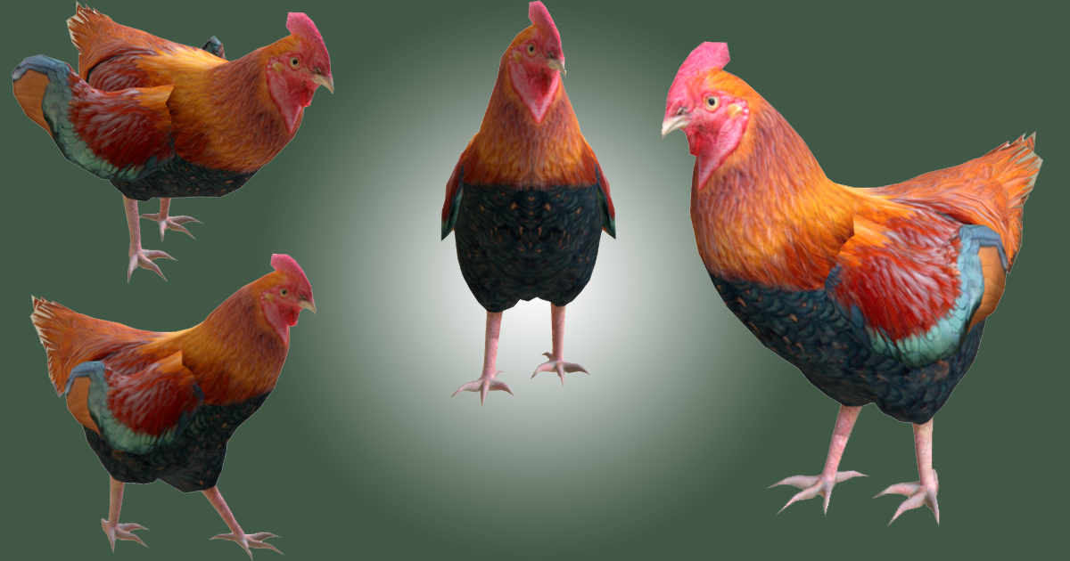 Chicken lowpoly | Characters | Unity Asset Store