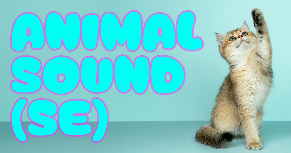 (SE) Not only this Kitten | Animals Sound FX | Unity Asset Store