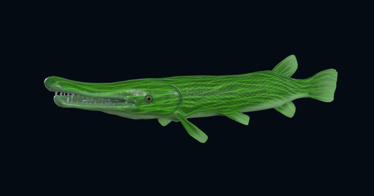 Alligator gar fish | Characters | Unity Asset Store