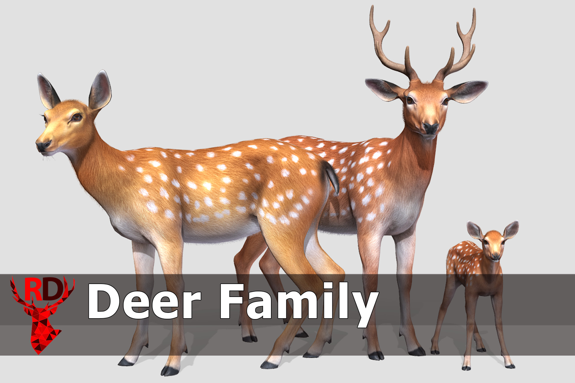 Deer Family | Characters | Unity Asset Store