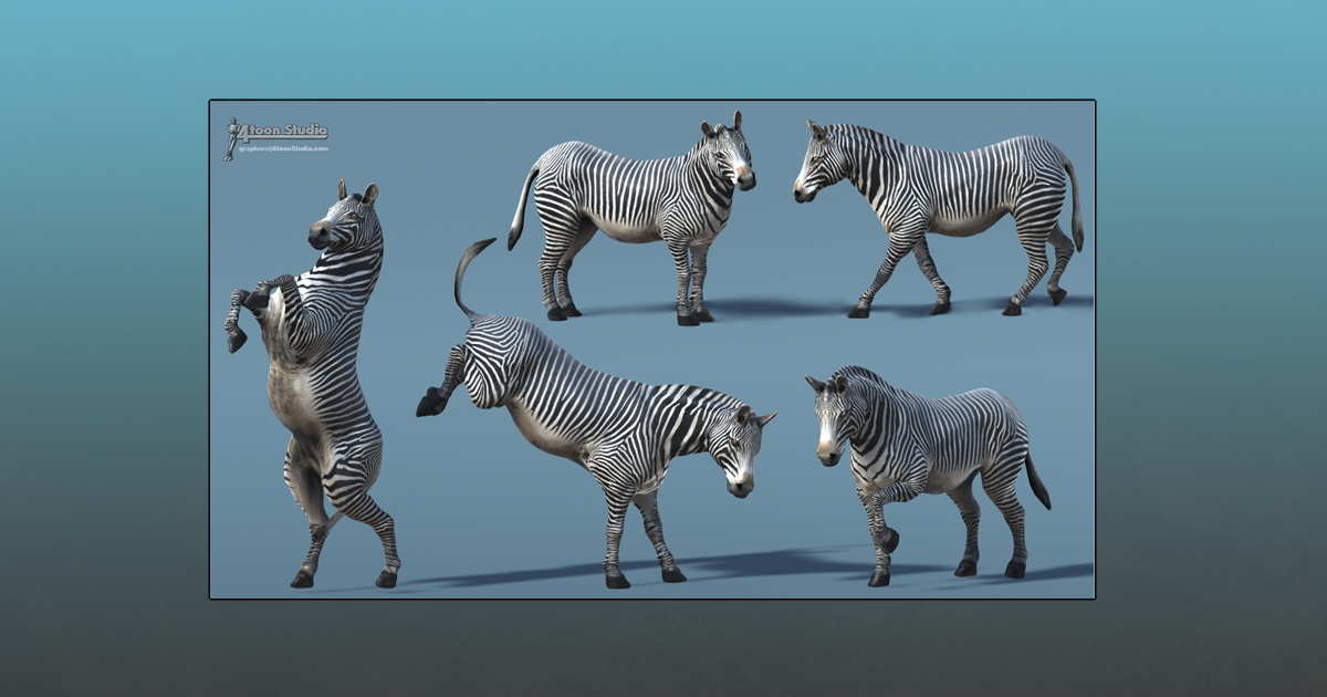 African Animal - Zebra | Characters | Unity Asset Store