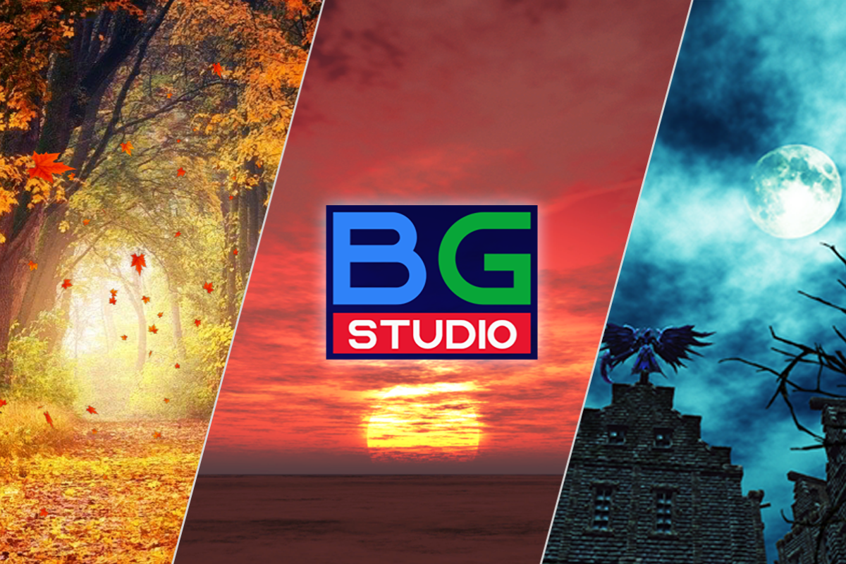 BG Studio - Asset Store