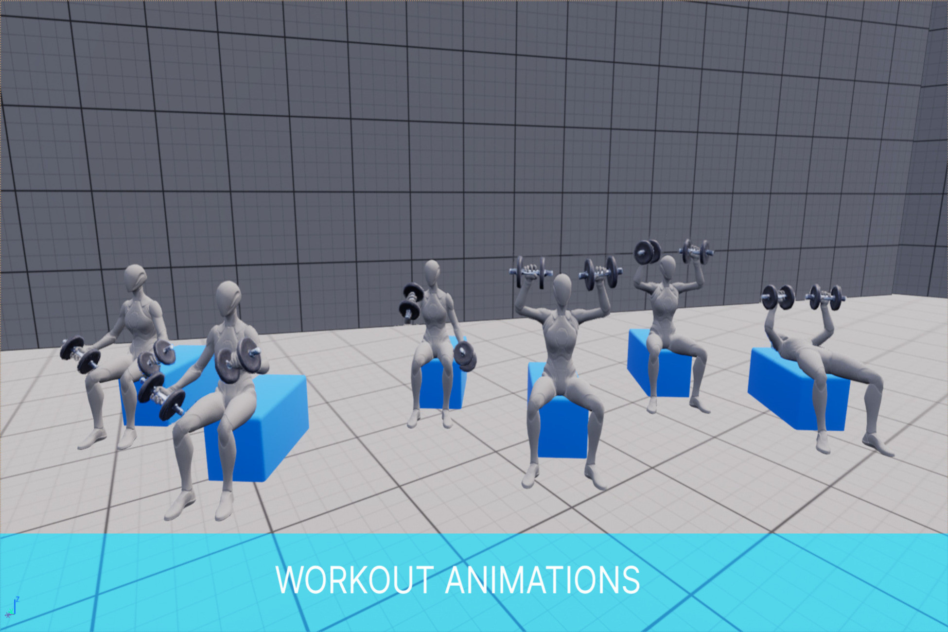 Workout Animations | 3D Animations | Unity Asset Store