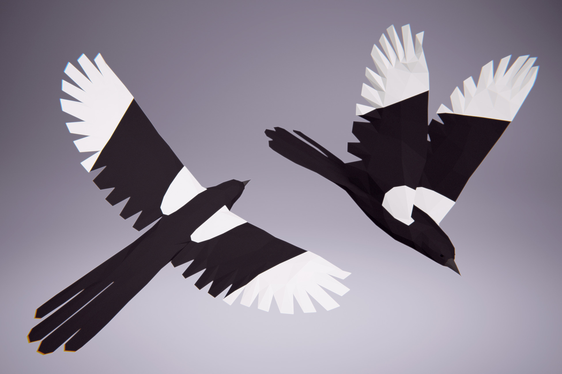 Low Poly Bird: Magpie | Characters | Unity Asset Store