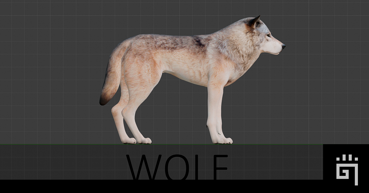 Classic Wolf | Characters | Unity Asset Store