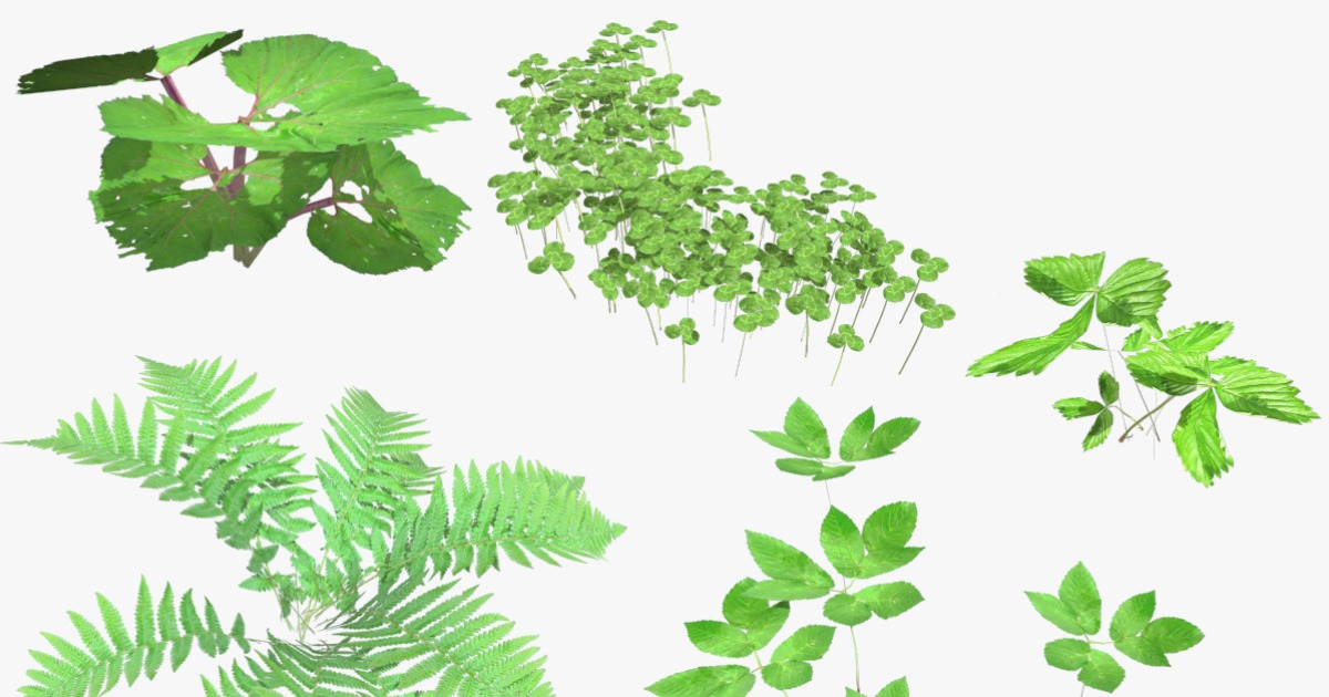 5 Plants Collection Pack | 3D Plants | Unity Asset Store