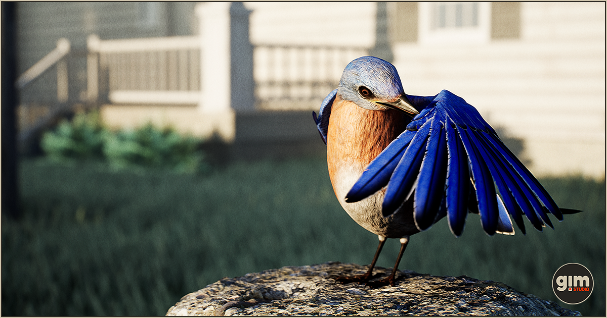 Animalia - Bluebird | Characters | Unity Asset Store