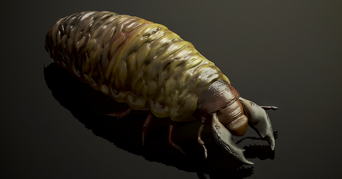 Larva_insect2 | Characters | Unity Asset Store