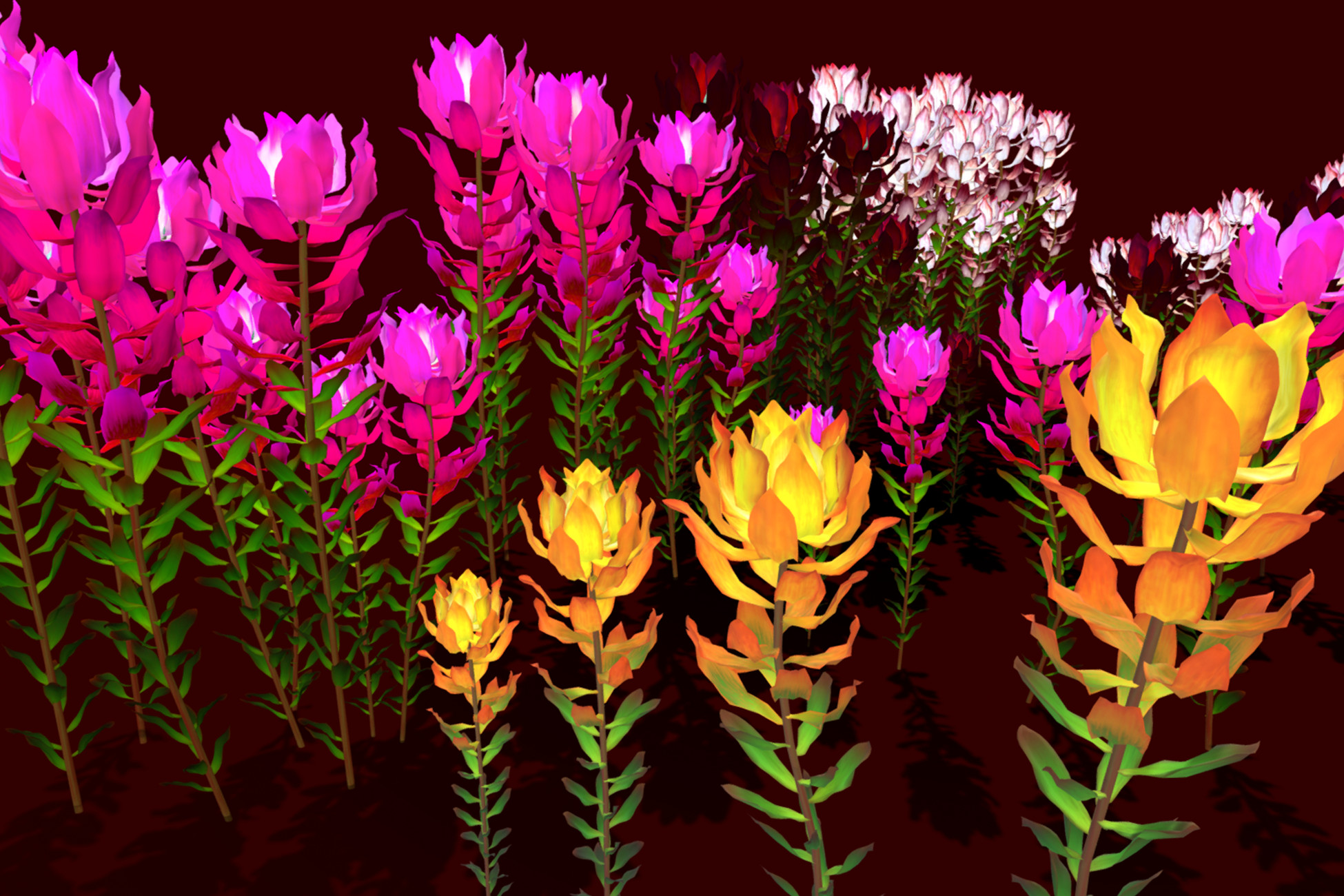 Flower Leucadendron | 3D 花 | Unity Asset Store