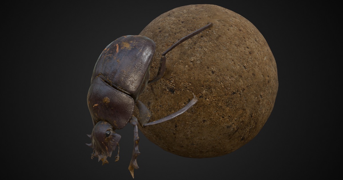 Animated Dung Beetle | 角色 | Unity Asset Store