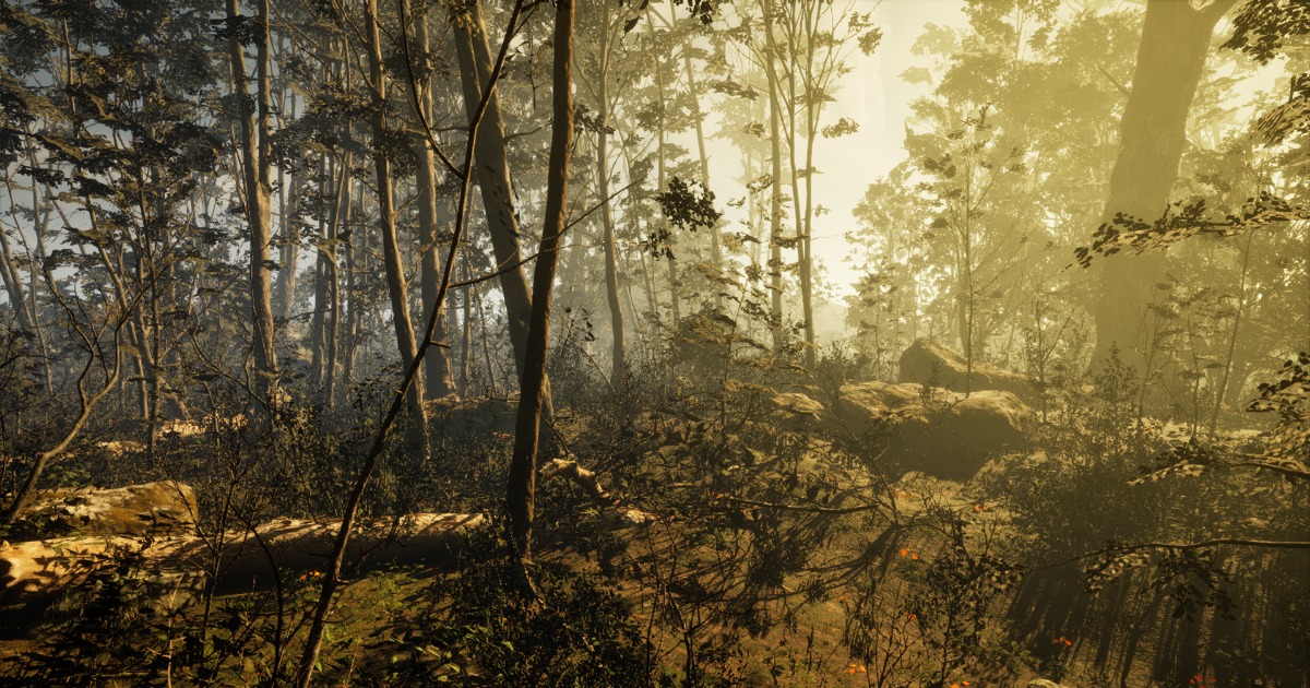 Quality Forest | 3D Trees | Unity Asset Store