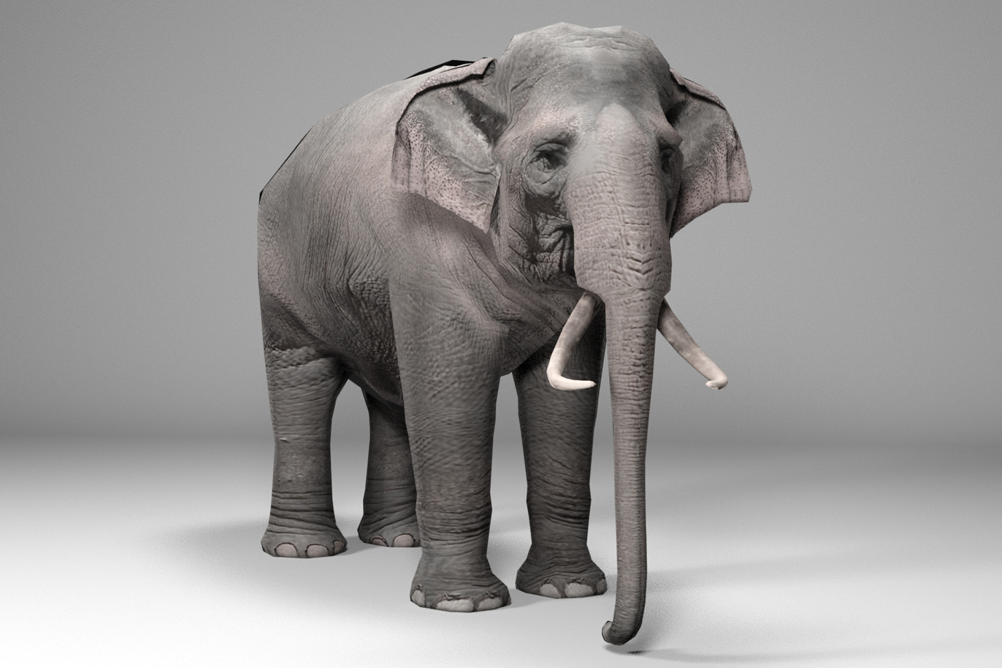 Asian Elephant Animated | Characters | Unity Asset Store