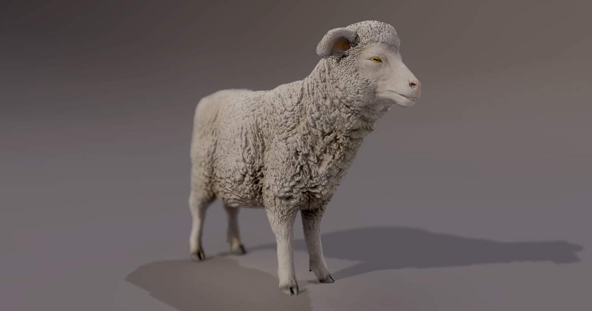 SHEEP | Characters | Unity Asset Store