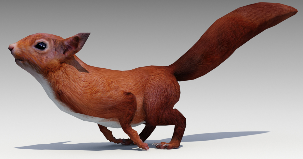 Squirrel | Characters | Unity Asset Store