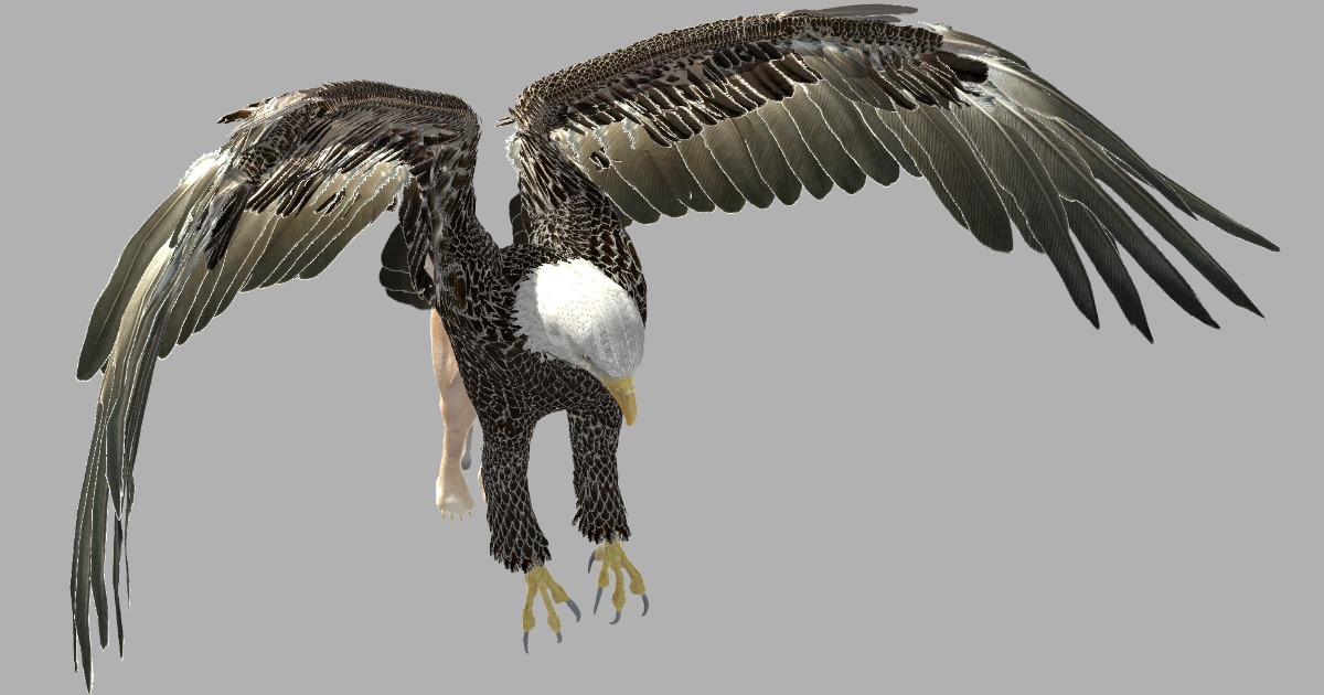 Griffin | 3D Creatures | Unity Asset Store