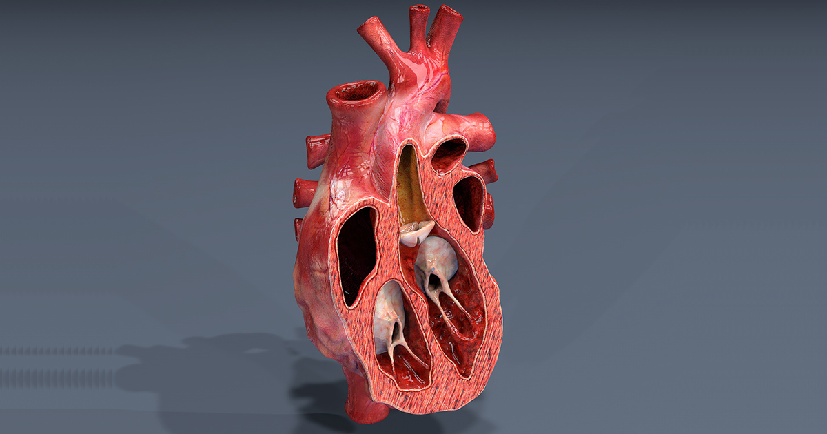 Open Heart Texture HD | 3D 캐릭터 | Unity Asset Store