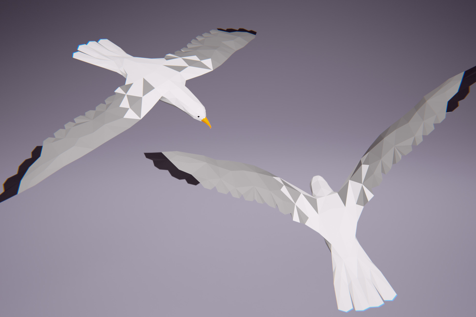 Low Poly Bird: Seagull | 캐릭터 | Unity Asset Store