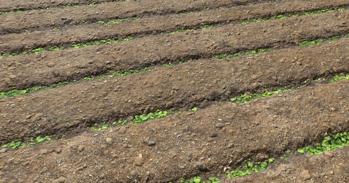 Farm Terrain Textures | 2D Textures & Materials | Unity Asset Store