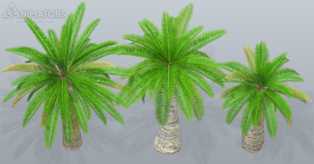 Low Poly Palm Trees 05 | 3D Trees | Unity Asset Store