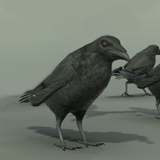 Asset Deals for Unity