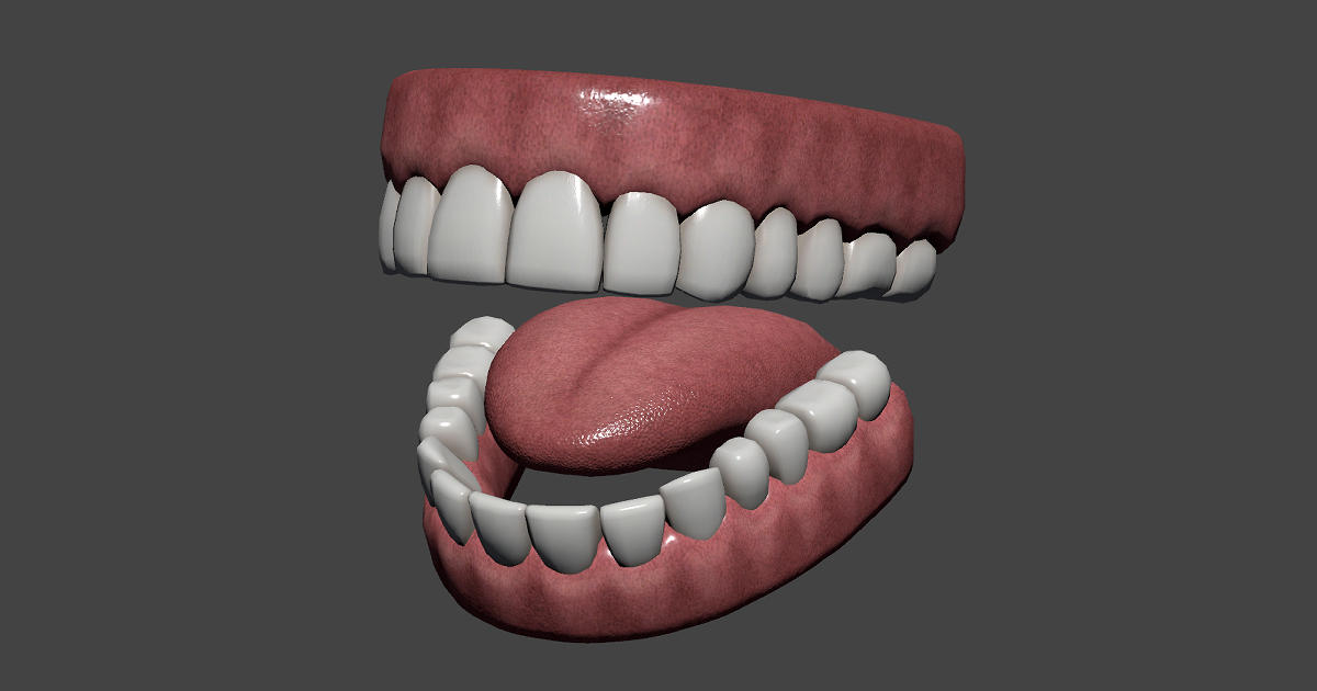 Teeth, Gums, and Tongue 3D Model | Characters | Unity Asset Store