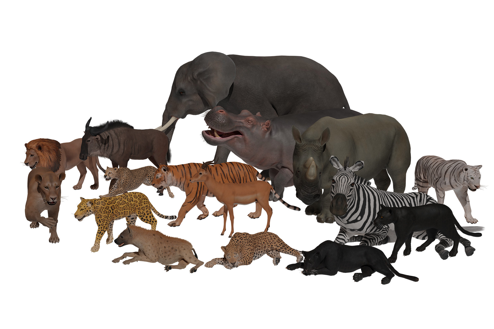 African Animal Pack | Characters | Unity Asset Store