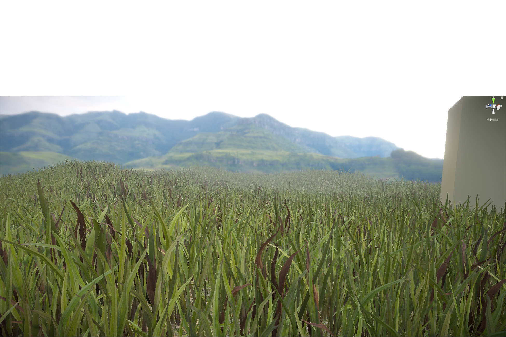 Grass Collection v1 | 3D Vegetation | Unity Asset Store