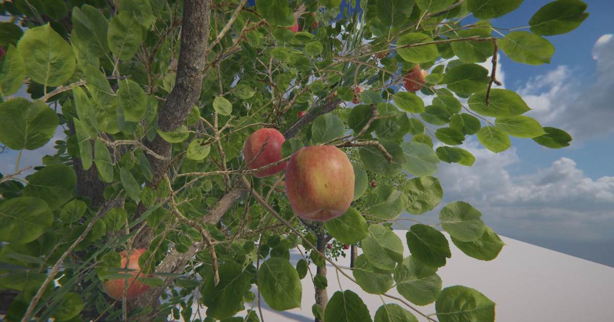 European Garden Flora | 3D Vegetation | Unity Asset Store